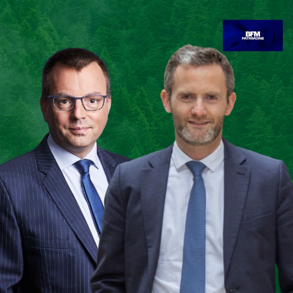 Investissement en forêt : bon placement pour les épargants